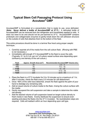 Accutase细胞分离液 细胞消化液